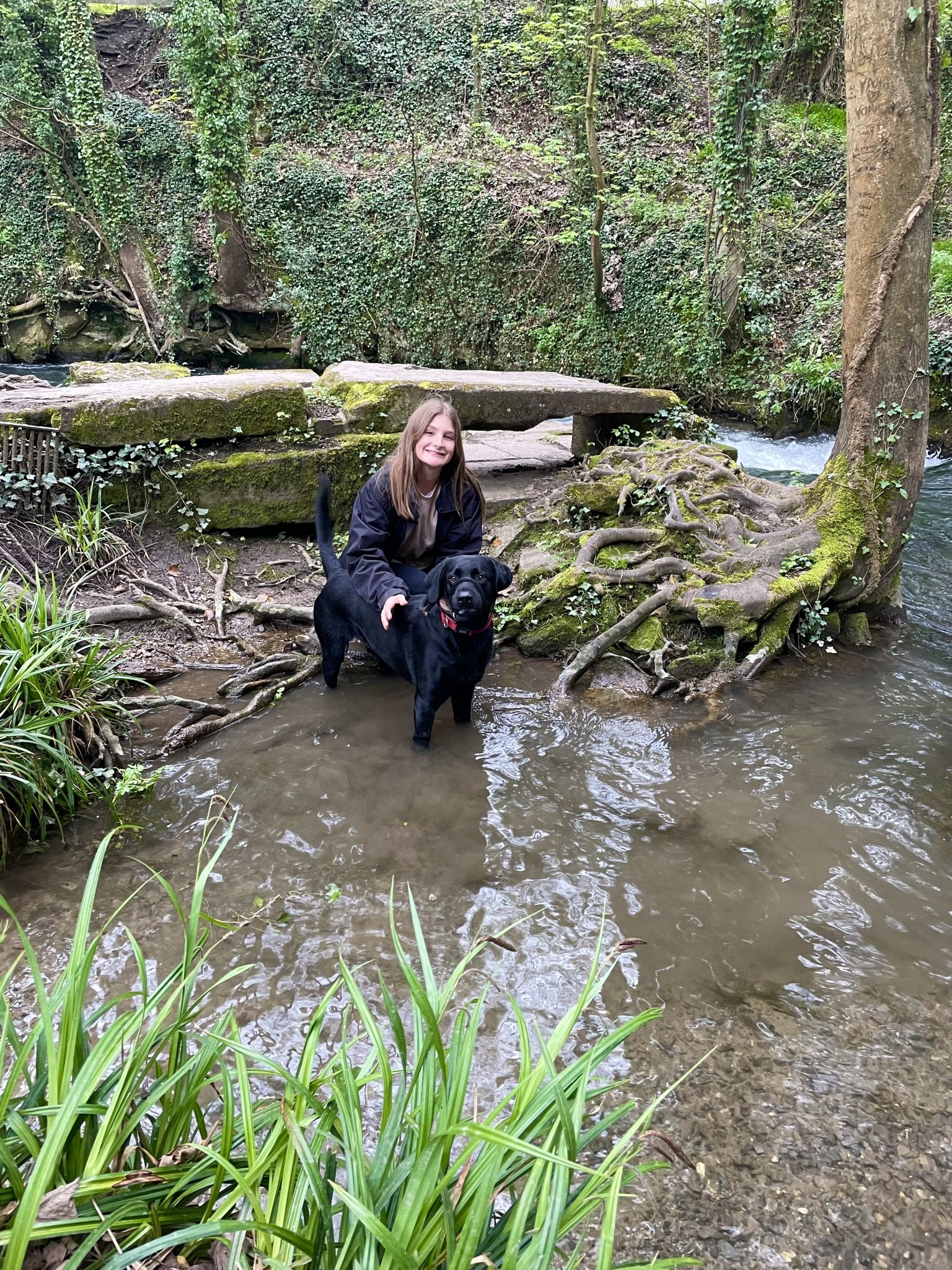 Our Team - Playful Paws