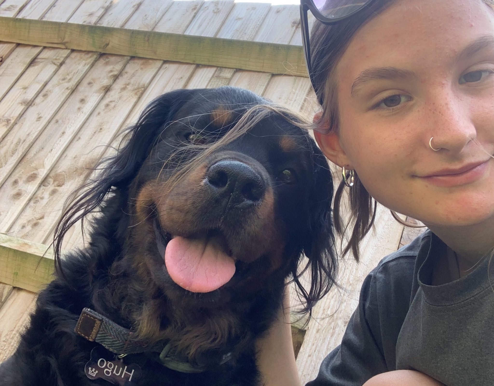 Pet Sitting - Playful Paws